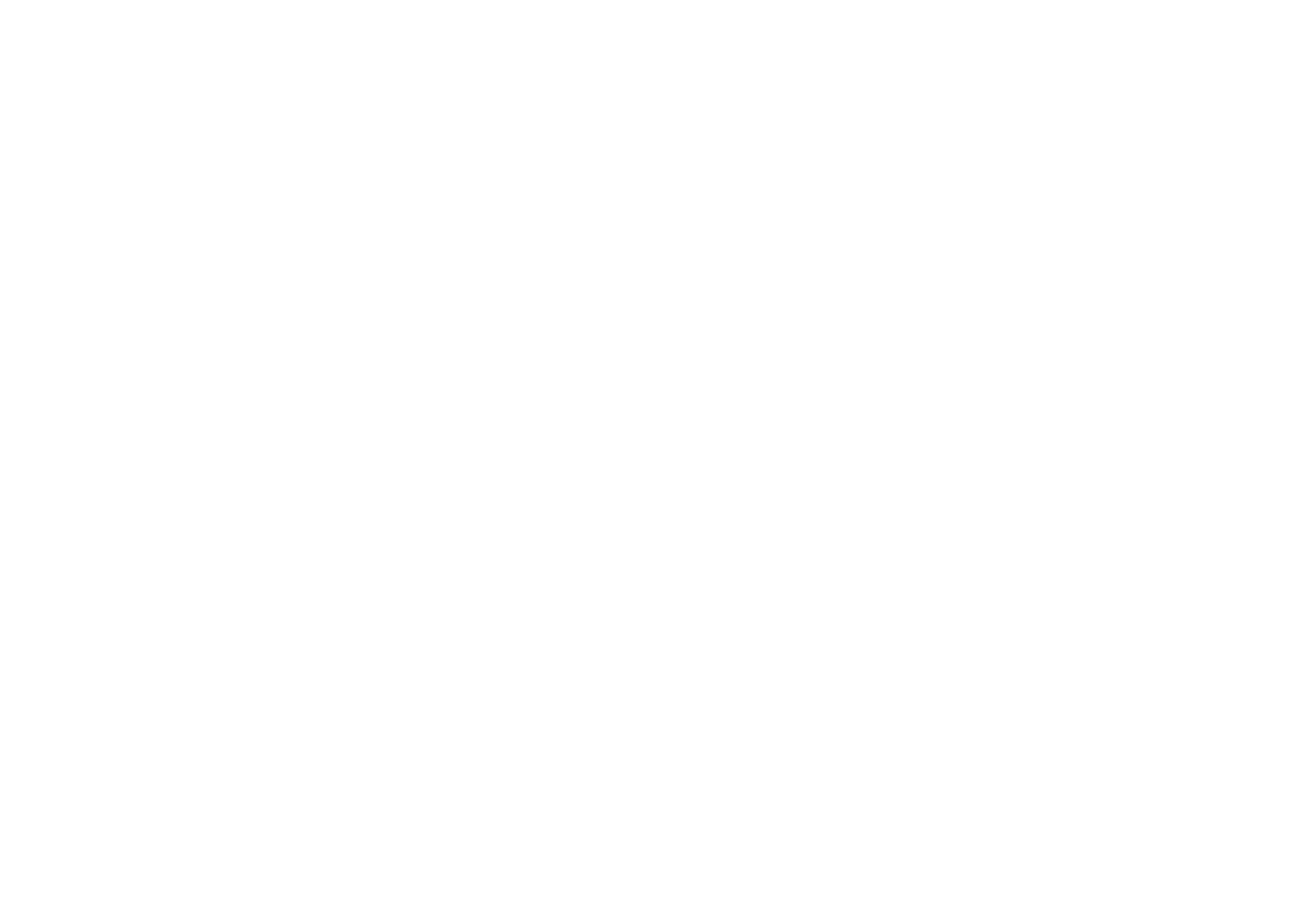 VIVID SOLUTIONS - Global Technology & Business Solutions